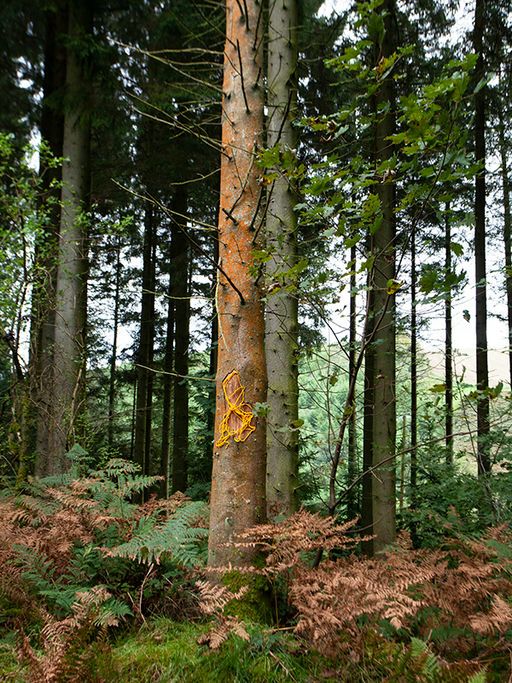 Ingrid Pumayalla Residency | Sidney Nolan Trust